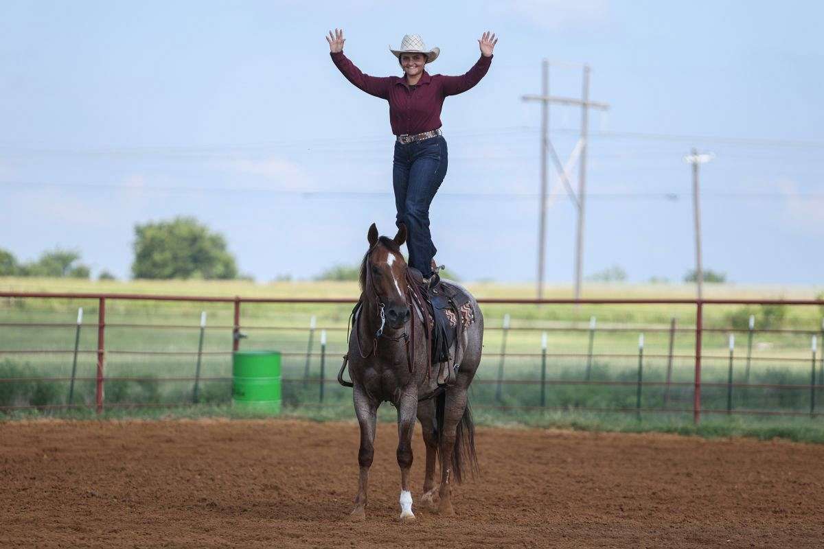 Stunning 5yo AQHA Gelding|Big, Safe, and Sweet With a Puppy-Dog Personality