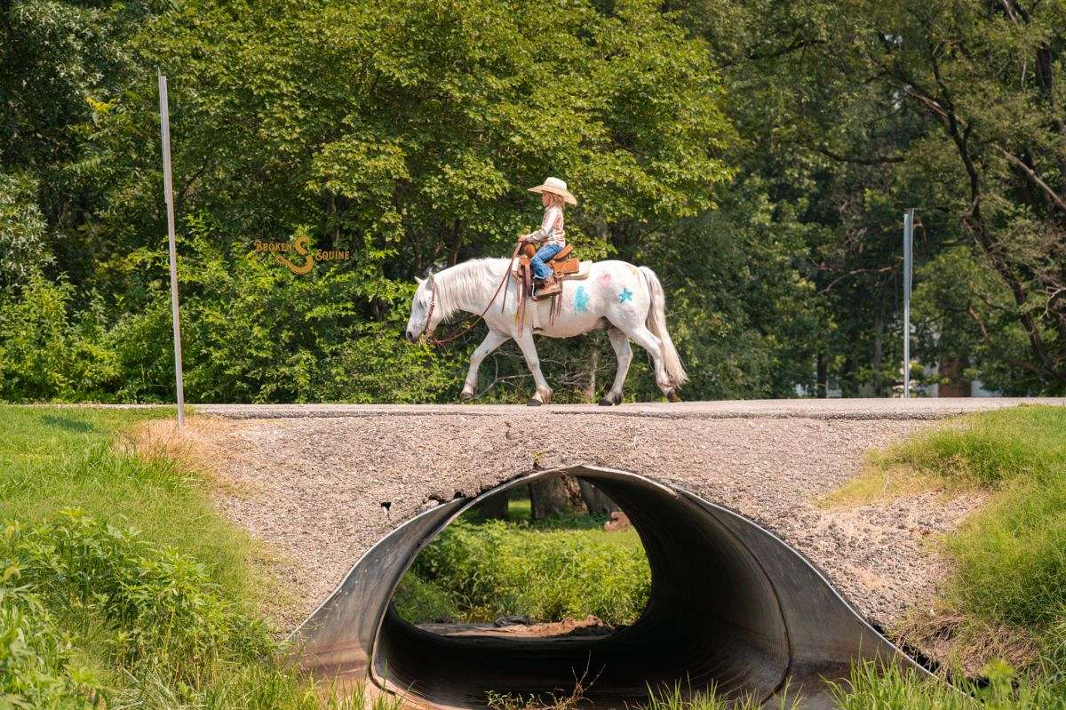 Pillsbury - Absolutely Adorable 7 Yr Old Grey Welsh X Quarter Pony Gelding!