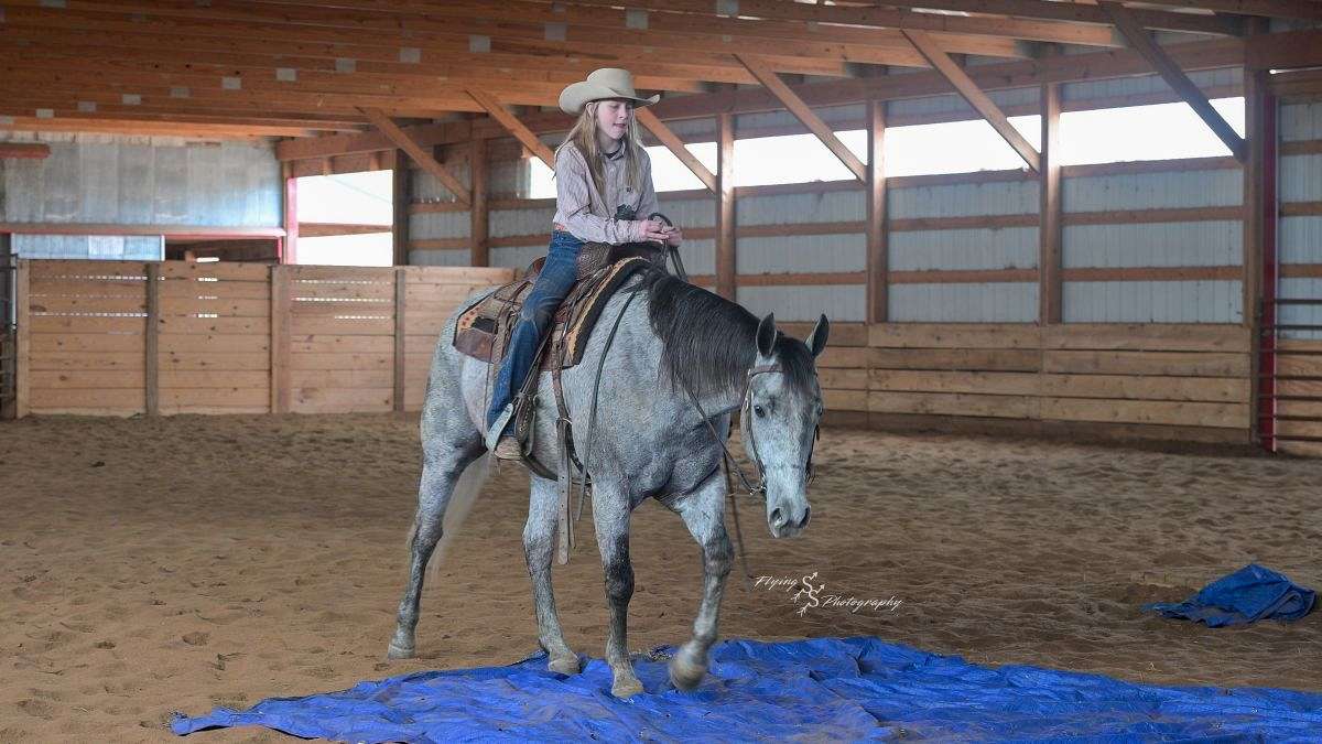 Jake - Outstanding Ranch & Arena Horse 5 Yr Old Grey AQHA Gelding!