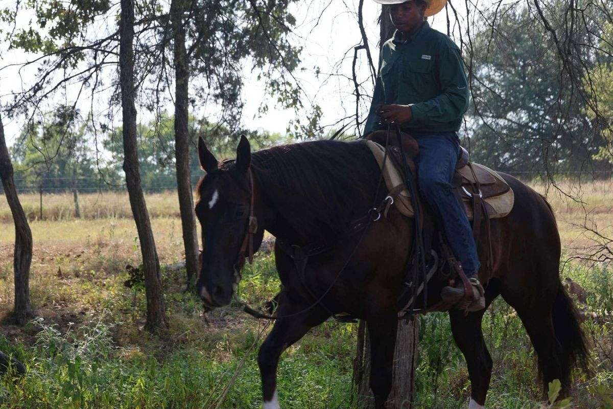 Dusty Black Coffee - a True All-Around Partner 9 yo Chestnut AQHA Gelding!