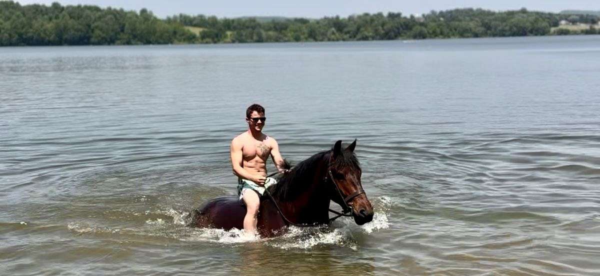 Donny D - Sweet, Sensible & Safe 4 Yr Old Bay Perch/Friesian Cross Gelding!