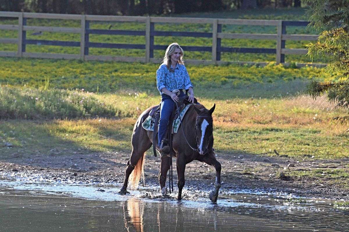 Edward - Gorgeous AQHA Gelding That Rides English and Western!