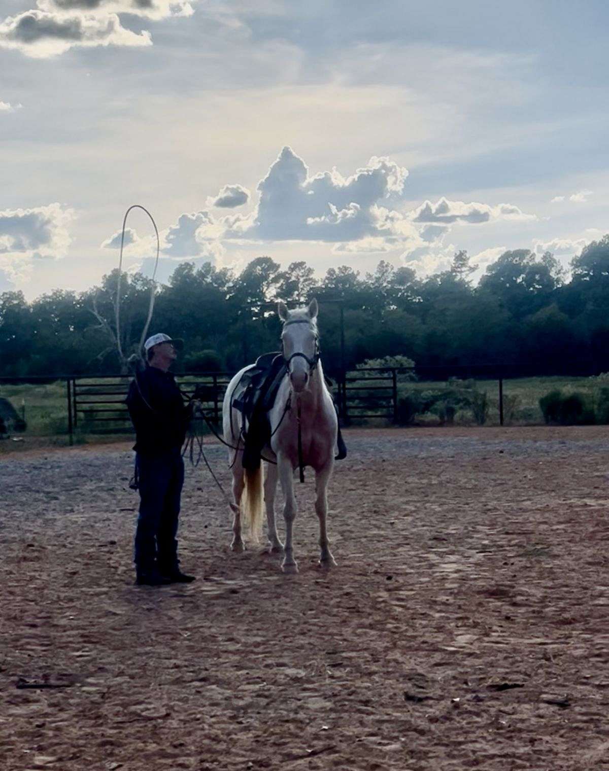 Sweet Cremello Paint Gelding