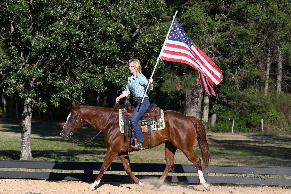 Edward - Gorgeous AQHA Gelding That Rides English and Western!