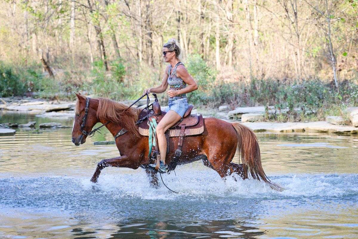 Super Smooth, Really Cool Sorrel Kentucky Mountain Gelding, Endurance