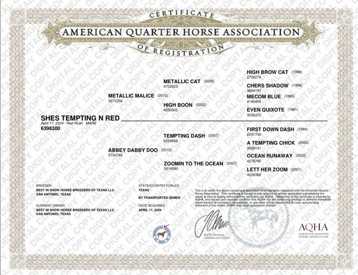 Flashy Roan Filly by Metallic Malice