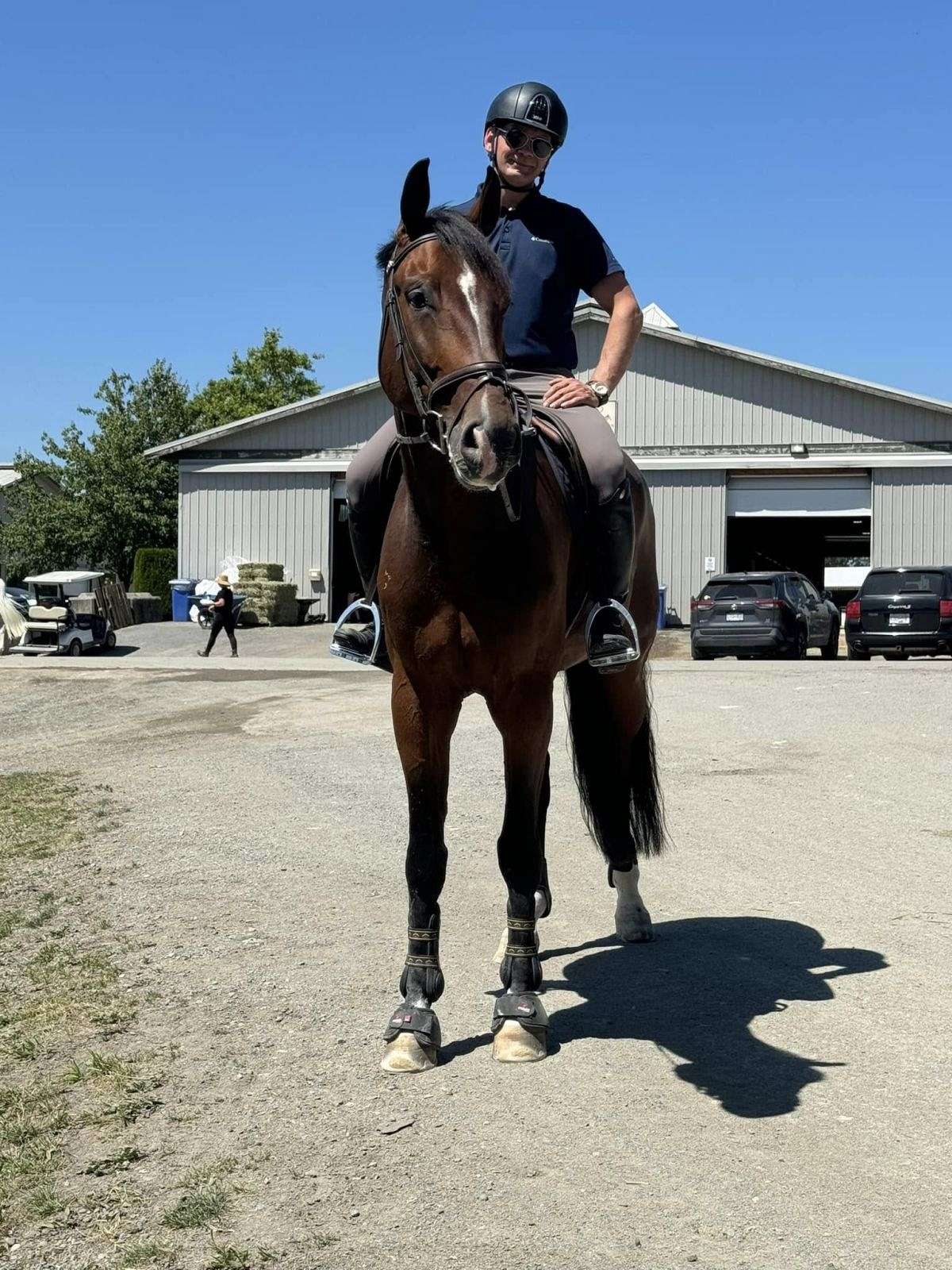 Lovely Gelding - Ready to Shine!