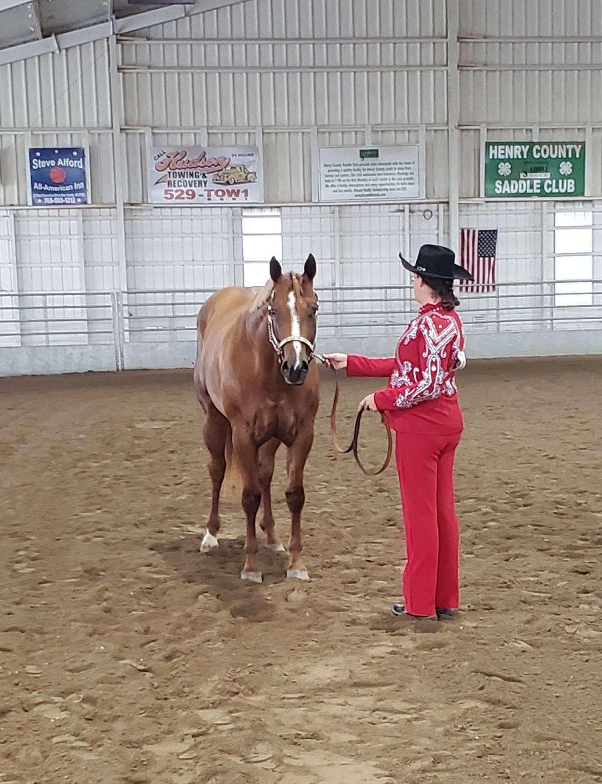 Fancy All Around and Show 6 Yr Old Chestnut Quarter Horse Mare!