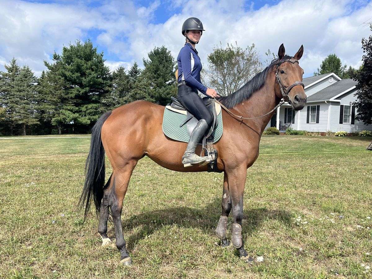 Tudor Peak - Big Mare With a Big Heart!