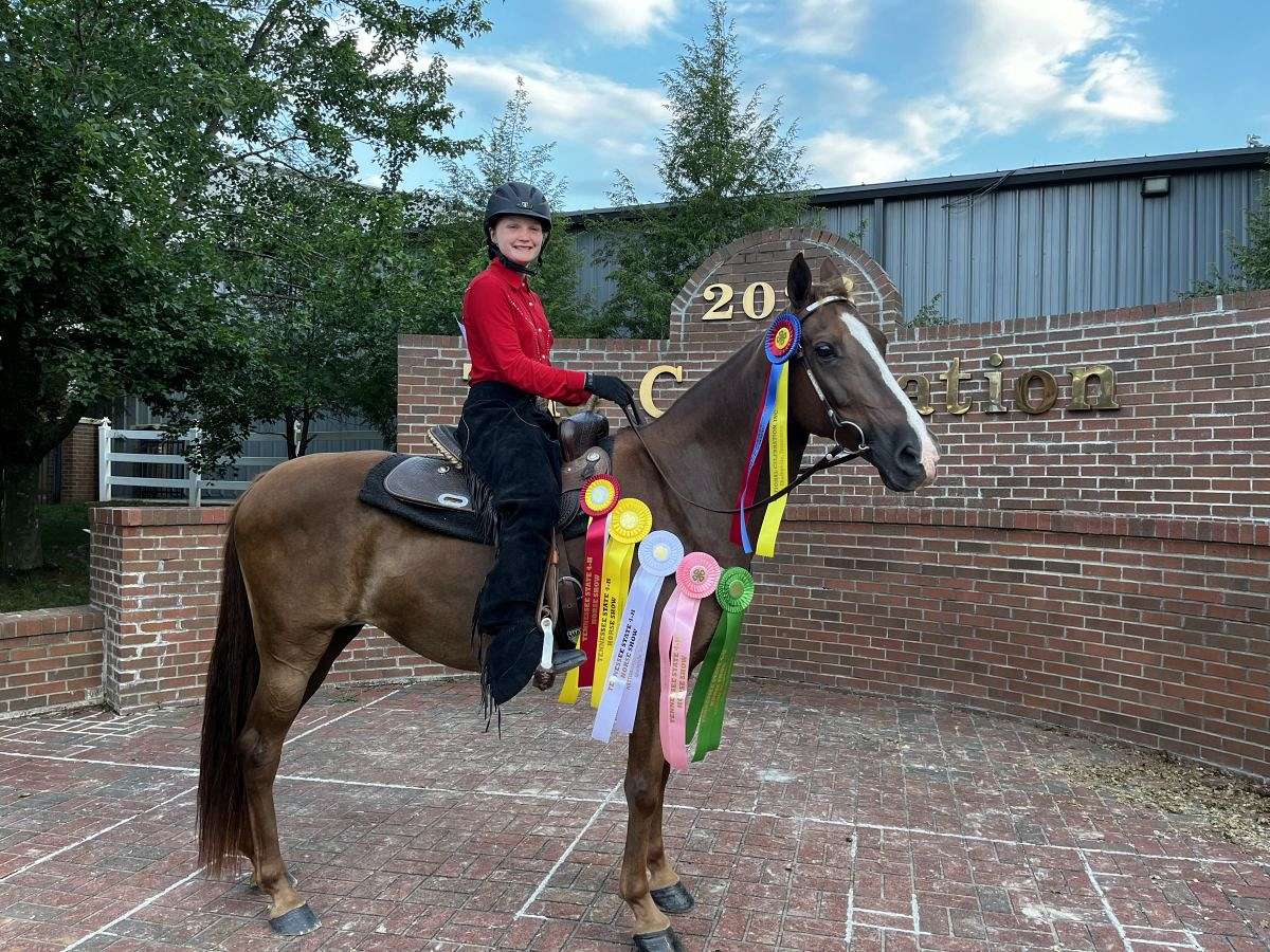 Bullet Creek Horse Training