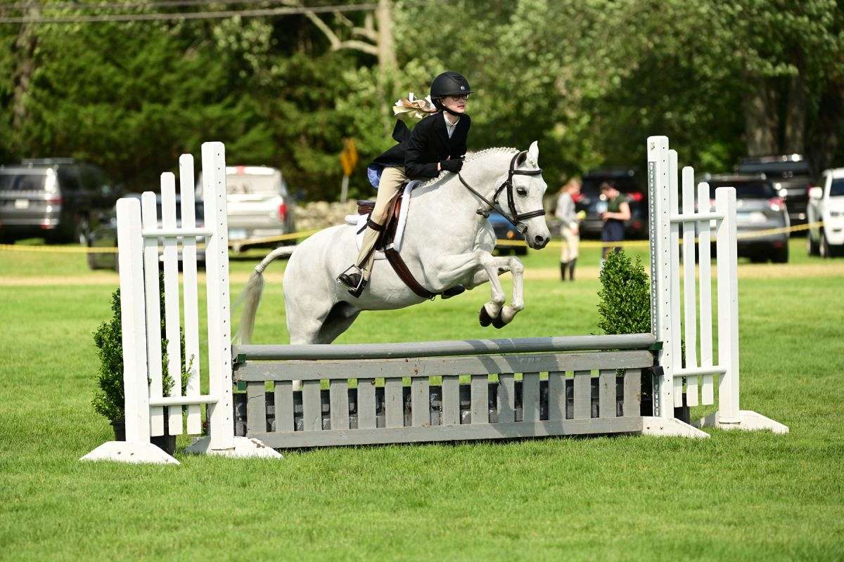 Competitive Medium Green Hunter/Jumper Pony