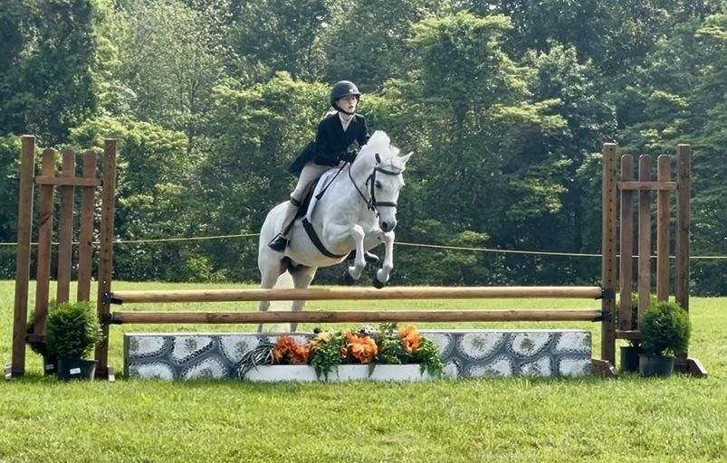 Competitive Medium Green Hunter/Jumper Pony