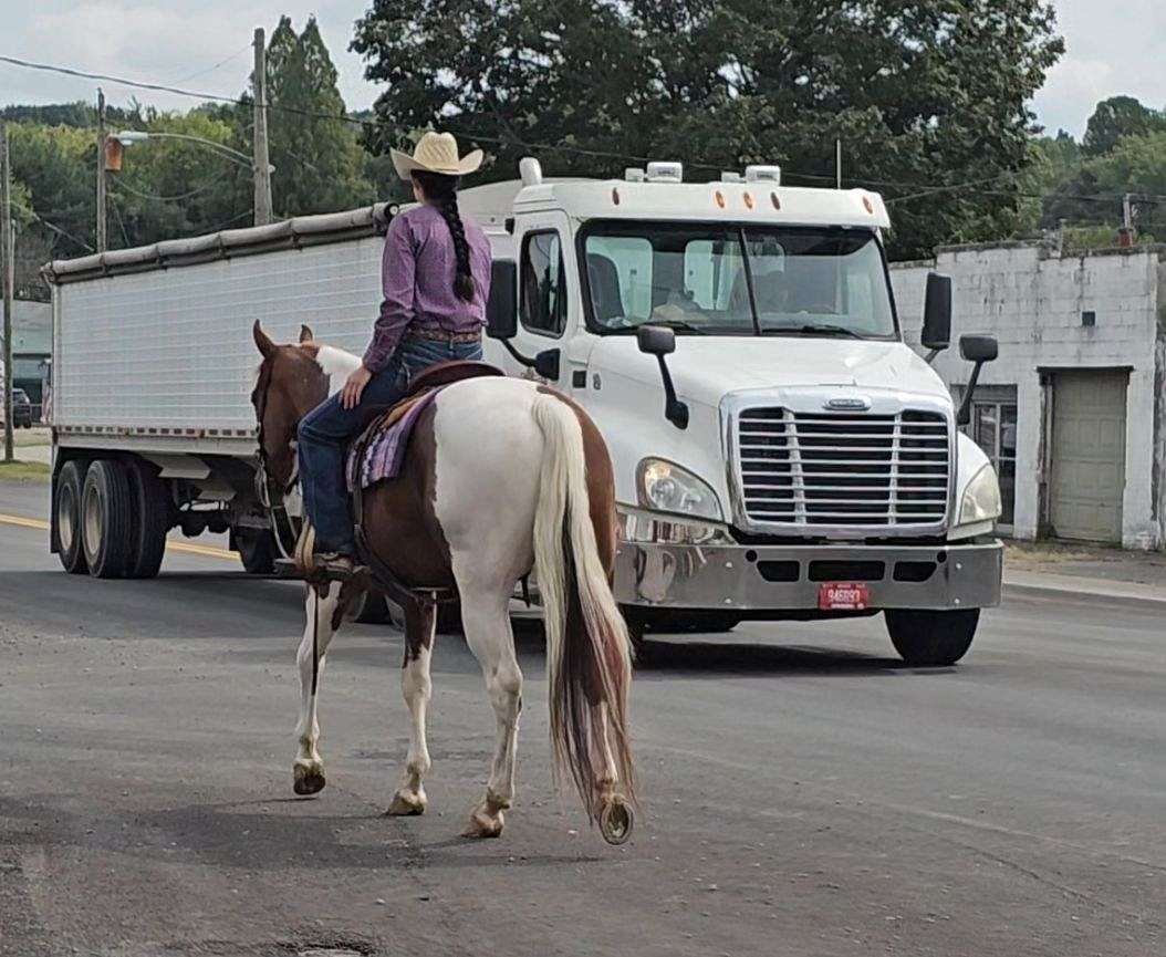 Spud - Big, Beautiful, & Broke 4 Yr Old Tobiano APHA Gelding!