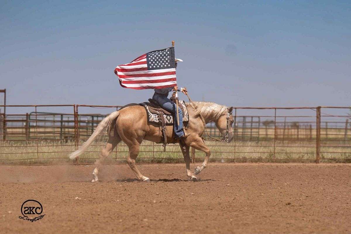 Mango - Well-Trained, Versatile, & Ranch-Ready 4 yo Palomino AQHA Gelding!