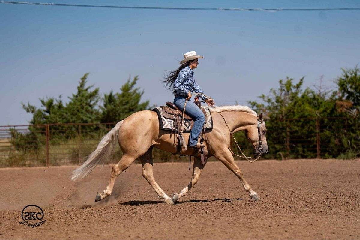 Mango - Well-Trained, Versatile, & Ranch-Ready 4 yo Palomino AQHA Gelding!