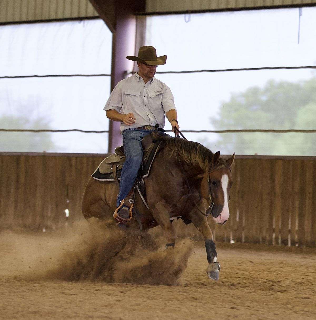 Gunna Bet On Red - Solid Reining & Ranch Horse 4 Yr Old Sorrel AQHA Gelding