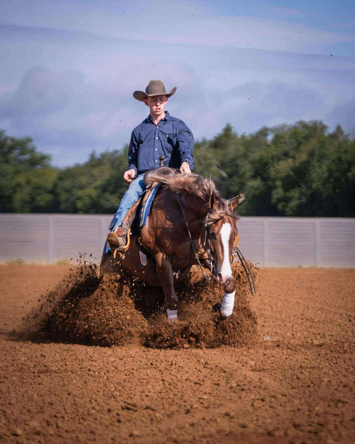 Gunna Bet On Red - Solid Reining & Ranch Horse 4 Yr Old Sorrel AQHA Gelding