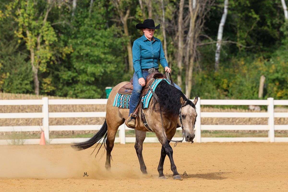 Flashy - Finished Reining Horse 15 Yr Old Buckskin AQHA Gelding!