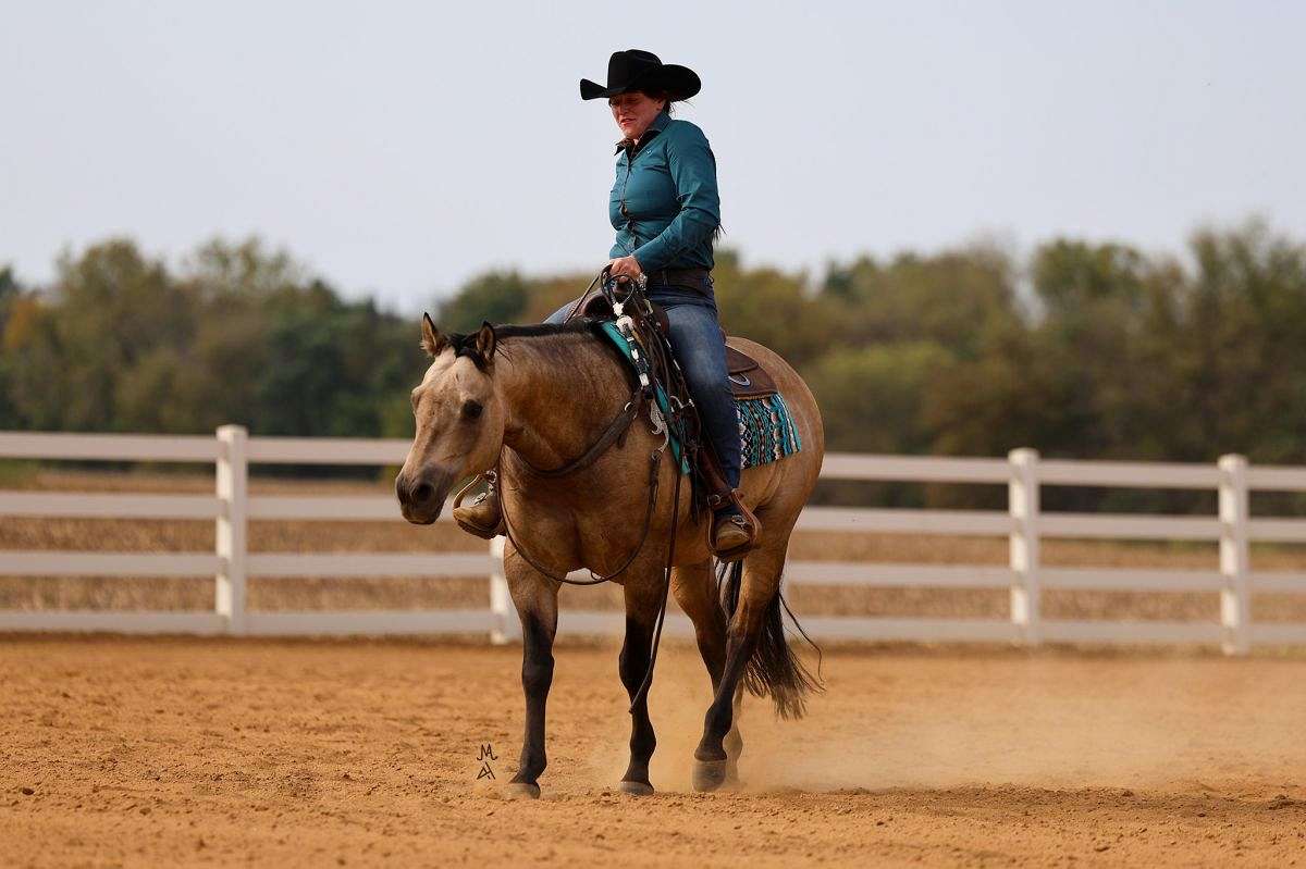 Flashy - Finished Reining Horse 15 Yr Old Buckskin AQHA Gelding!