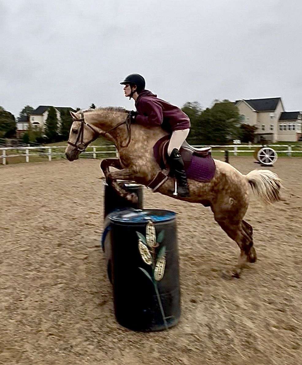 Glenhaven Fred Astaire