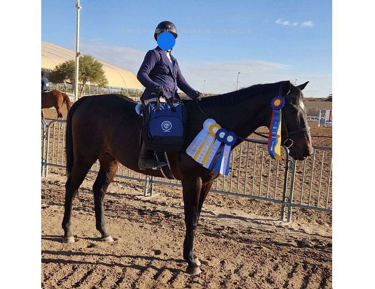 Low Children’S/Adult Hunter/Jumper/Equitation for Advanced Novice to Interm