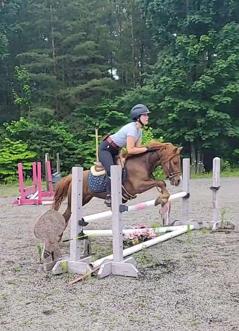 Squirt - 2ft Pony Hunter - Drives a Cart!