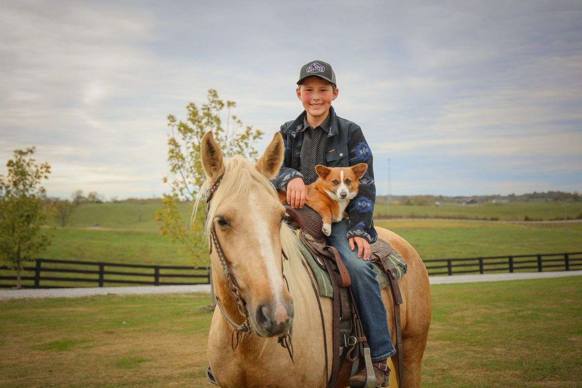 Extra Gentle, Super Safe, Quiet and Calm Smooth Palomino Ky Mtn Mare