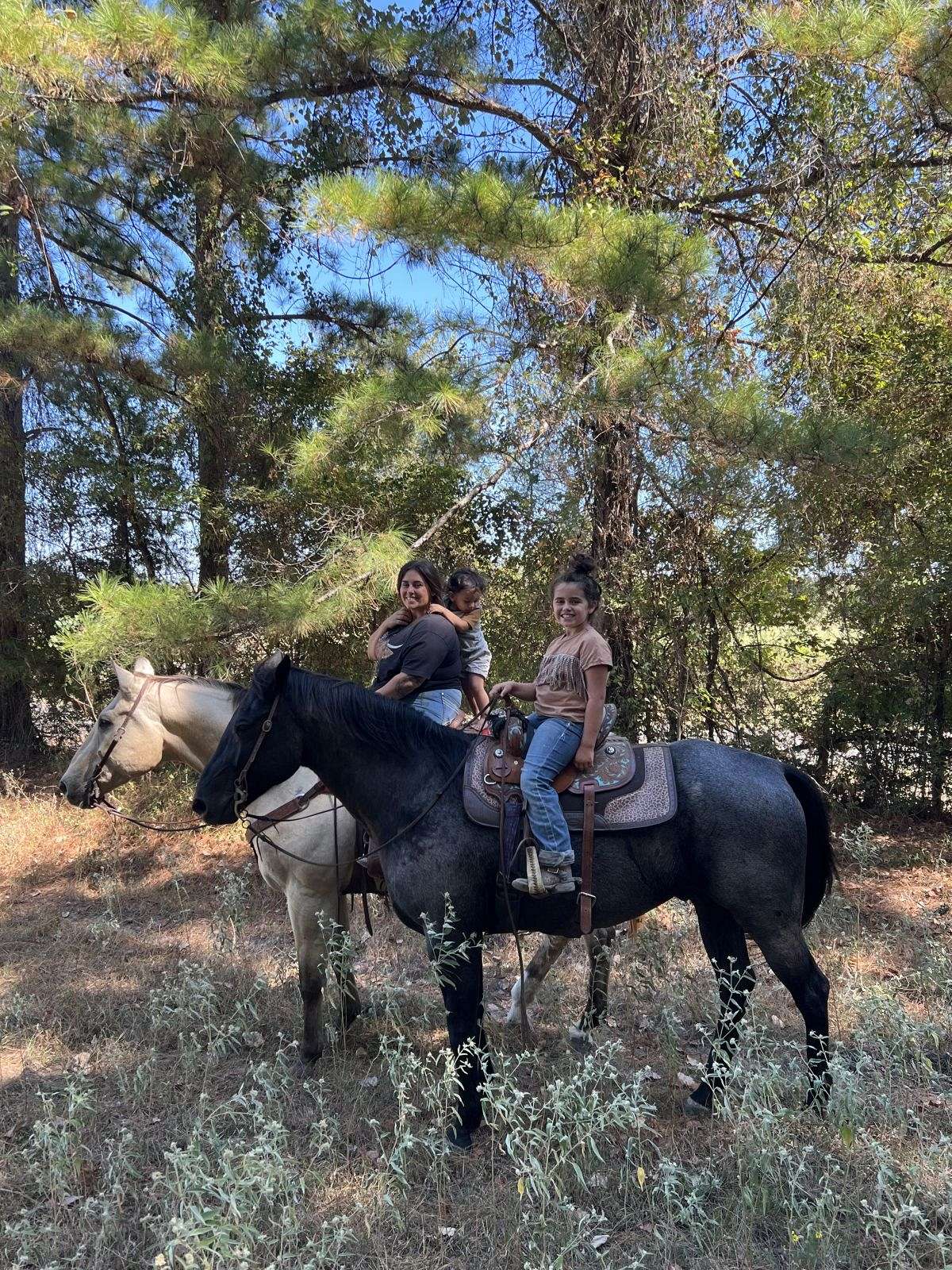 Ultimate Family / Kid Horse ⭐️