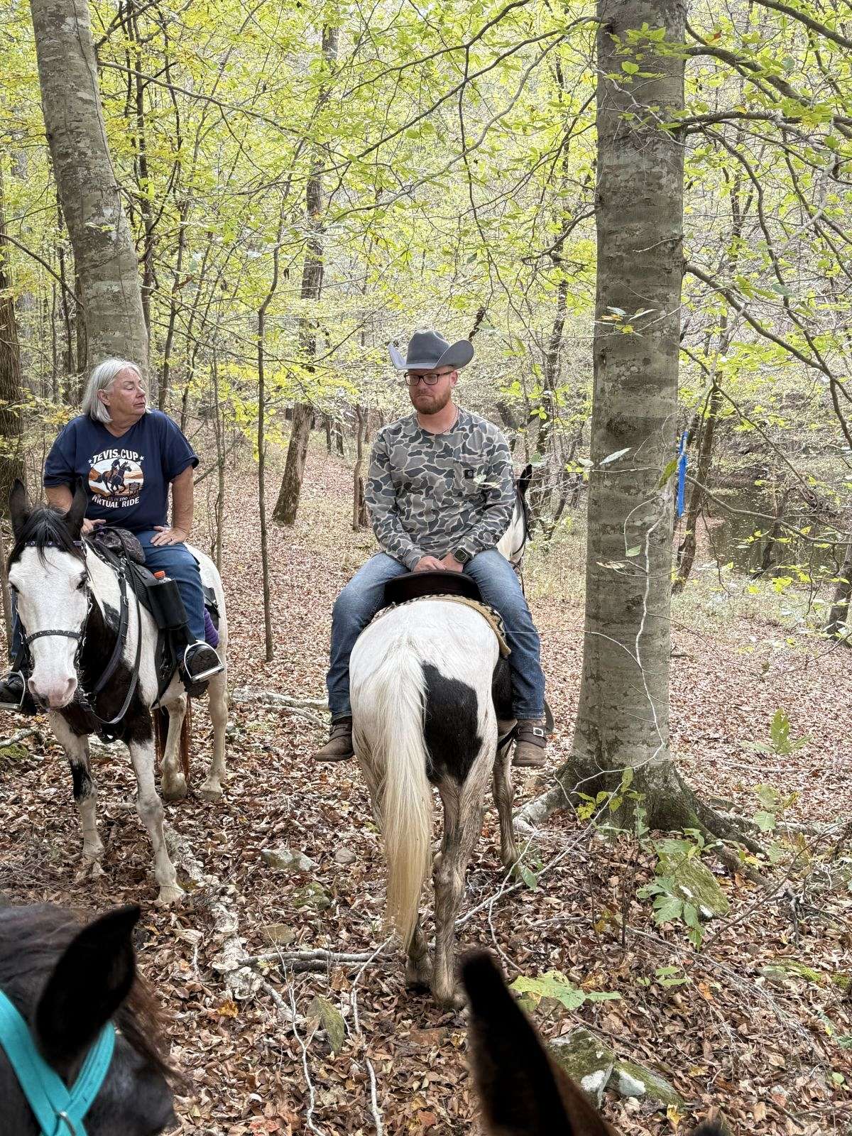 Same and Safe Gaited Trail Gelding