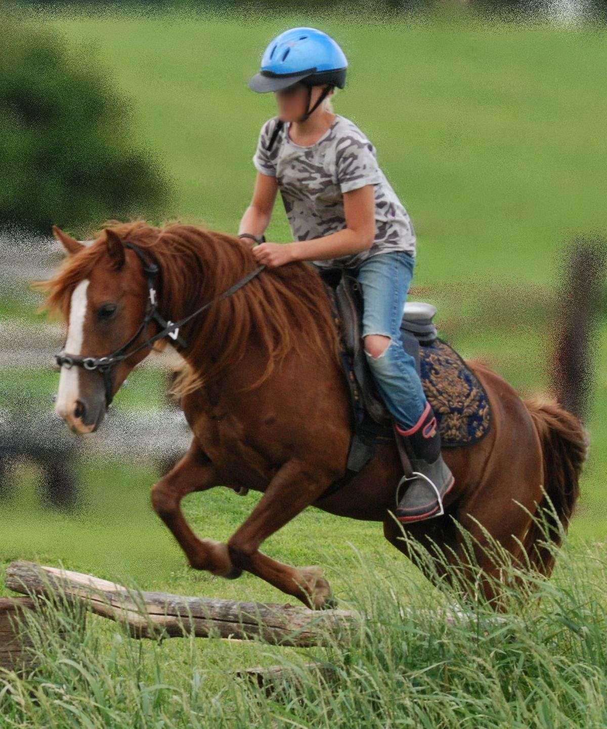 Connemara X