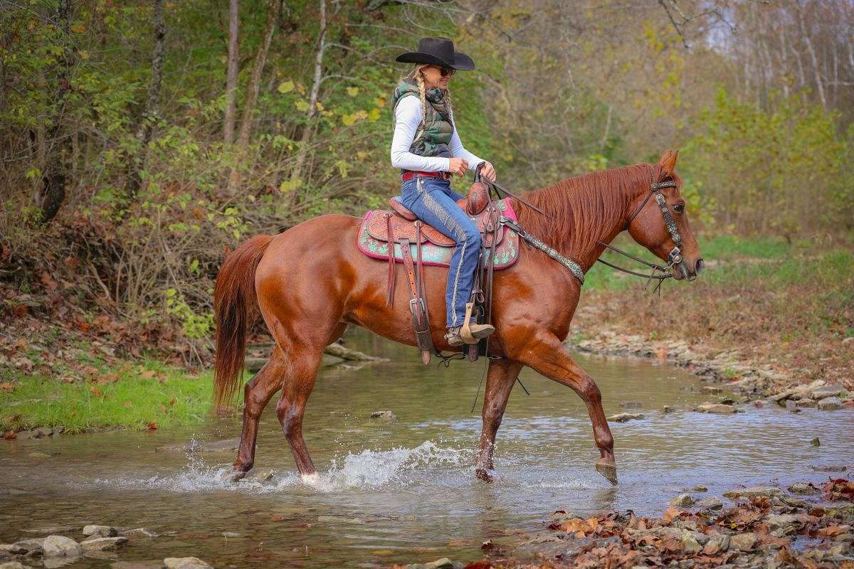 Super Handy, Athletic, Fun, and Handy Sorrel QH Mare, Ranch, Trail, Rope
