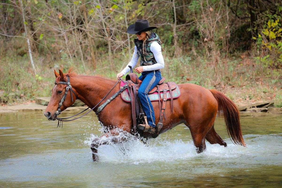 Super Handy, Athletic, Fun, and Handy Sorrel QH Mare, Ranch, Trail, Rope