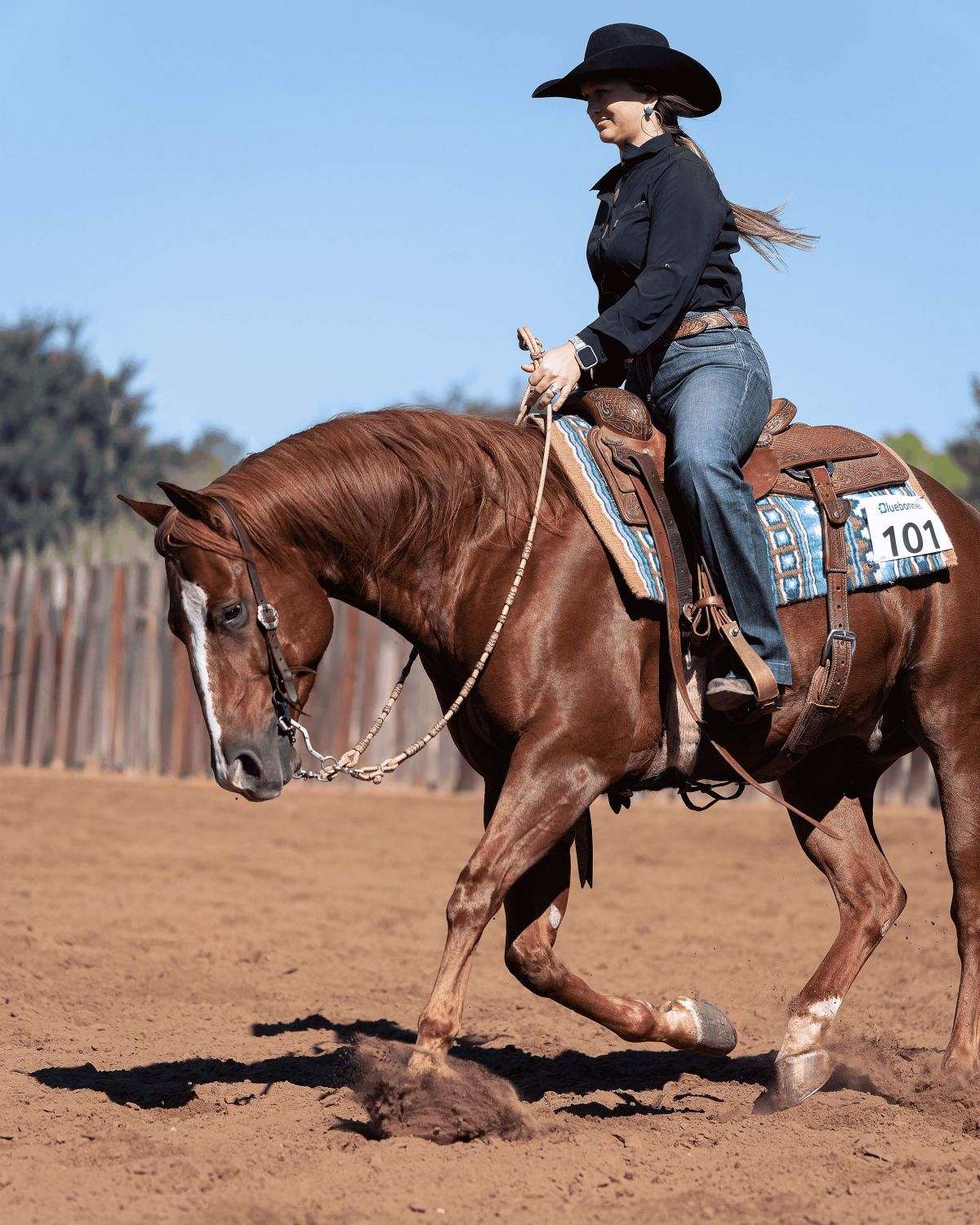 Gunner - Solid Reining & Ranch Horse 5 Yr Old Sorrel AQHA Gelding!