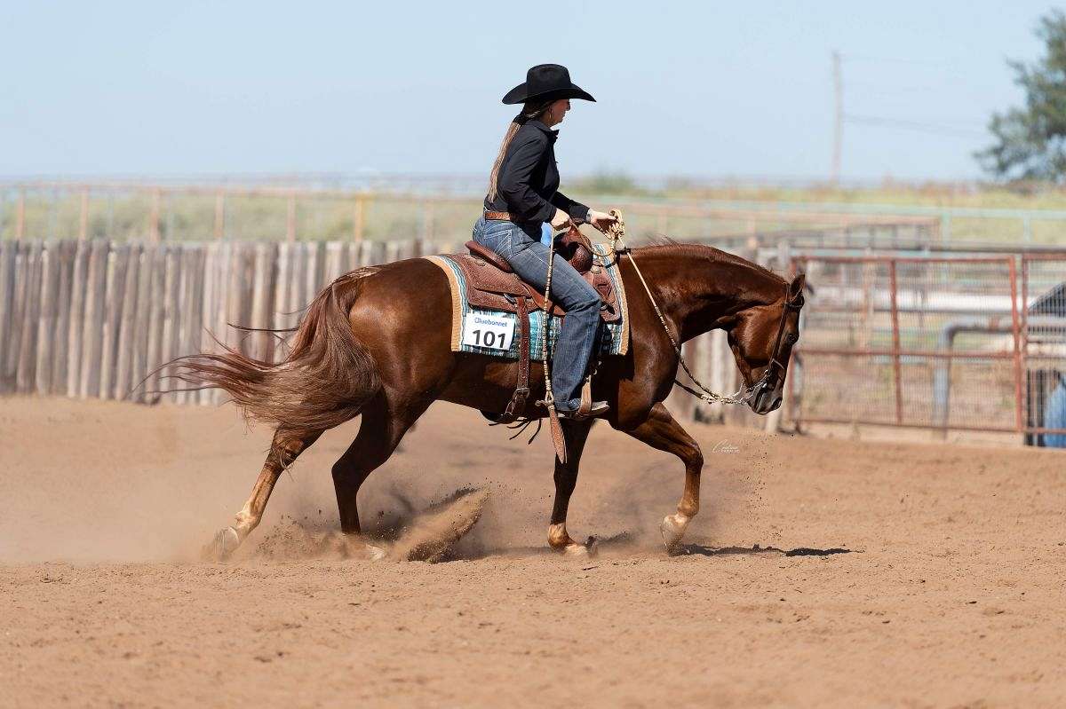 Gunner - Solid Reining & Ranch Horse 5 Yr Old Sorrel AQHA Gelding!