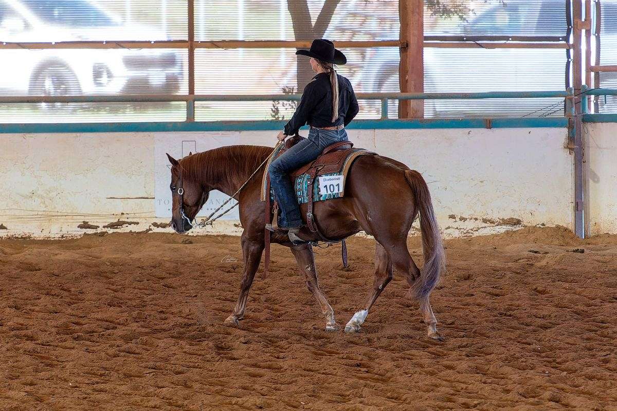 Gunner - Solid Reining & Ranch Horse 5 Yr Old Sorrel AQHA Gelding!