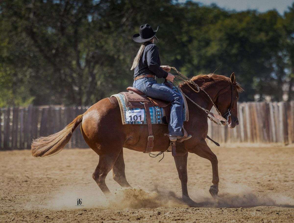 Gunner - Solid Reining & Ranch Horse 5 Yr Old Sorrel AQHA Gelding!