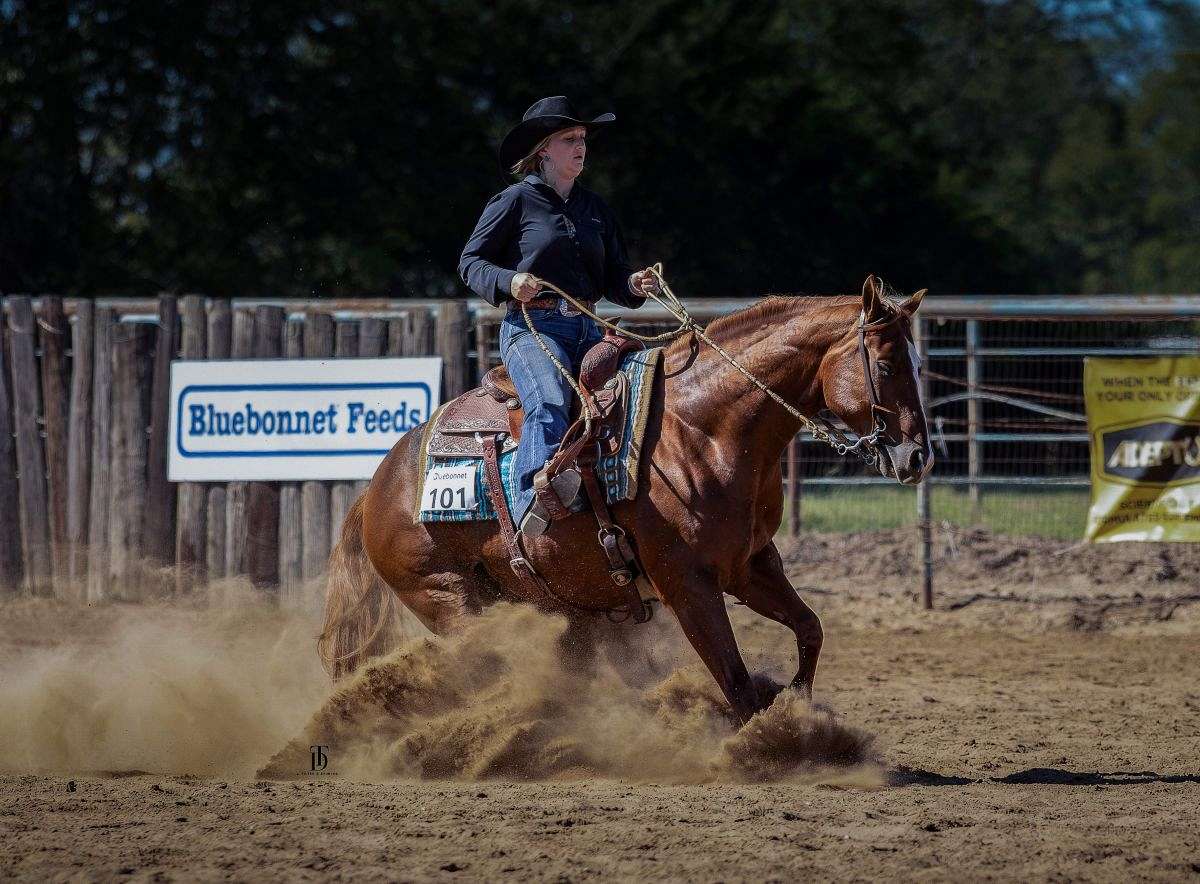 Gunner - Solid Reining & Ranch Horse 5 Yr Old Sorrel AQHA Gelding!