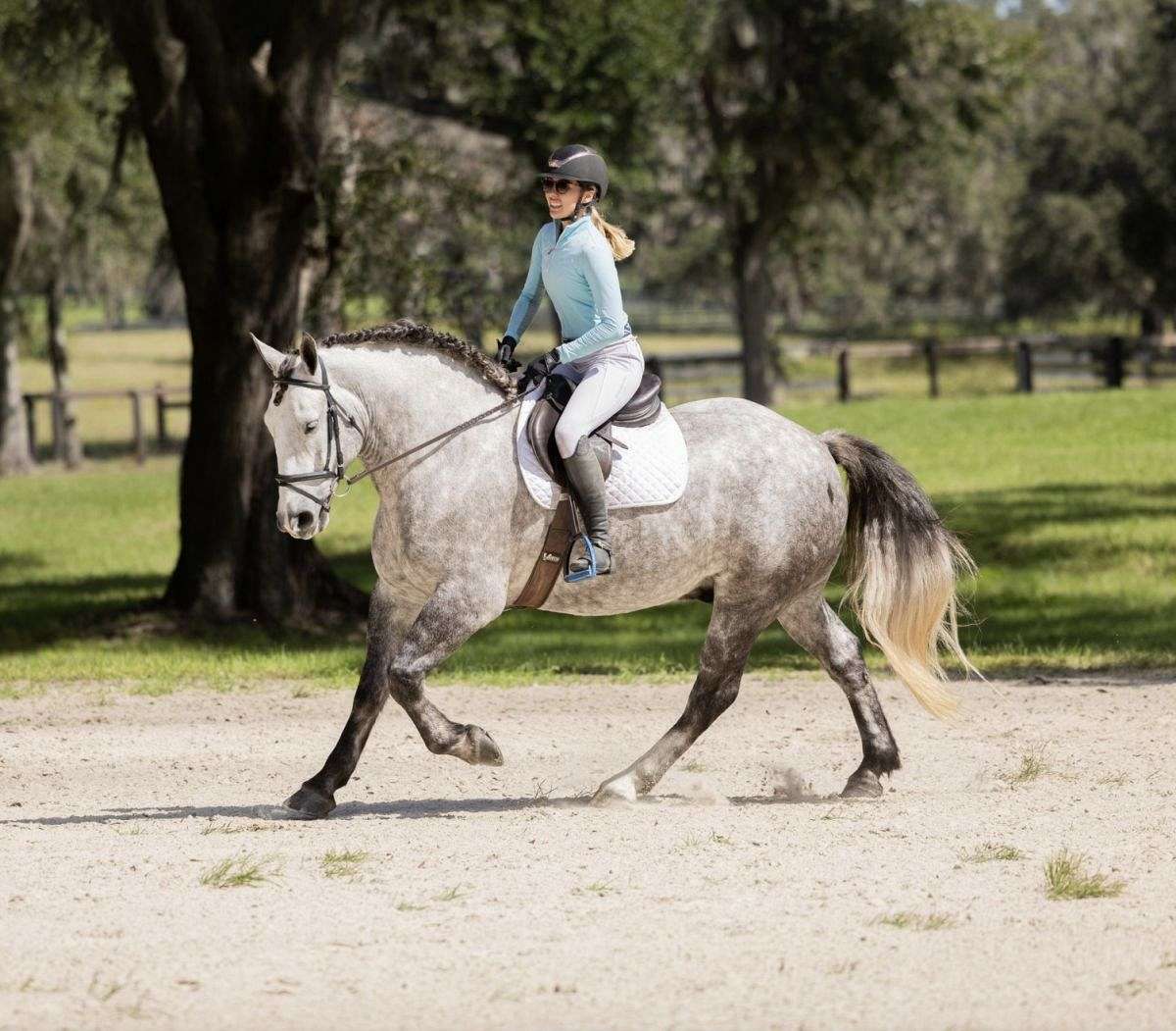 Marshmallow - Once in a Lifetime 4 Yr Old Grey Percheron X QH Gelding!
