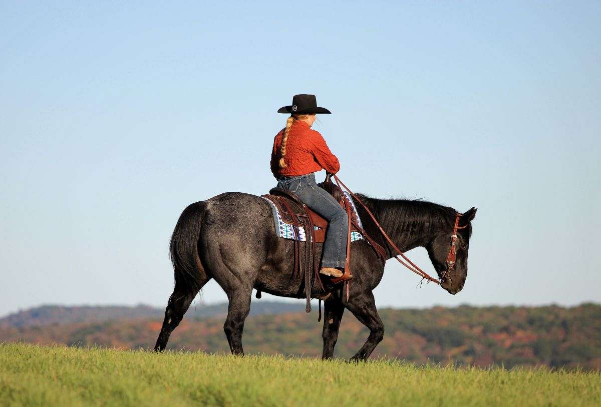 Houston - Seasoned Ranch Horse 12 Yr Old Blue Roan QH Gelding!