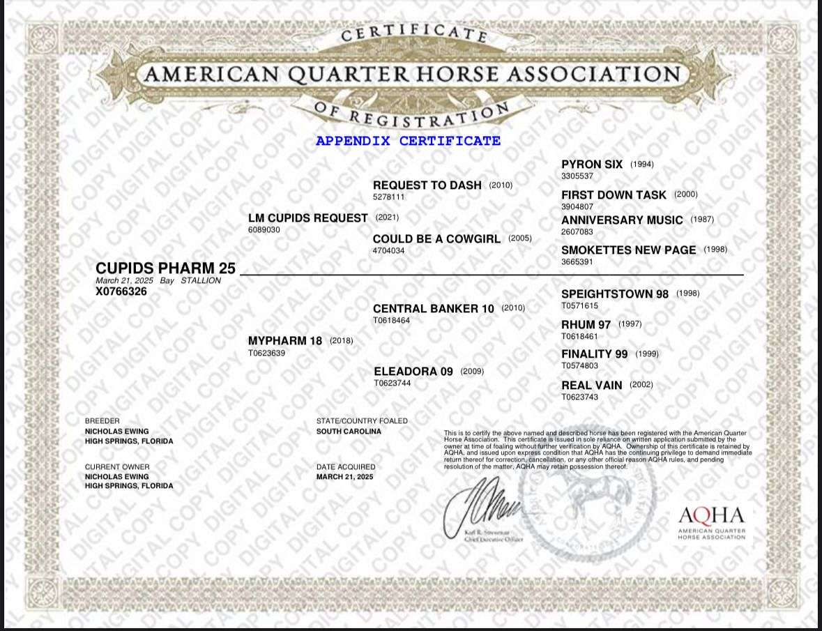 Appendix Colt for Sale