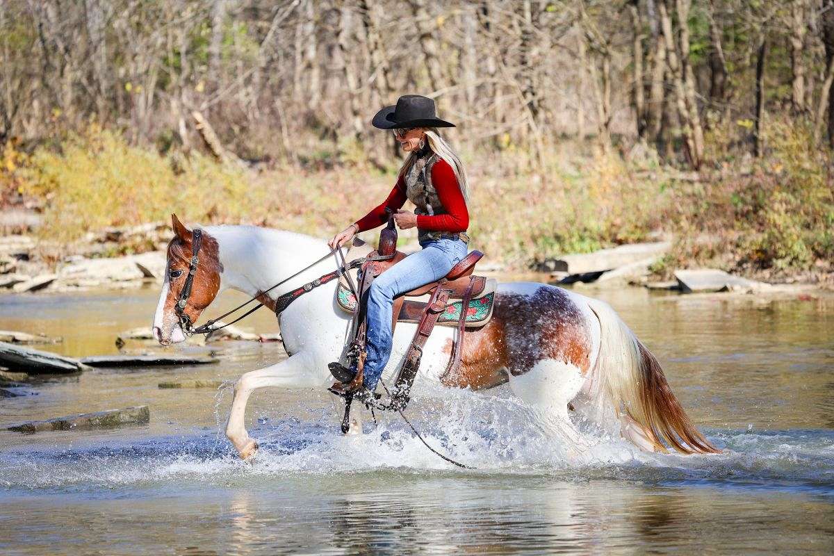 Flashy Sorrel Roan and White Paint Mare, Gentle, Trail Rides, Quiet