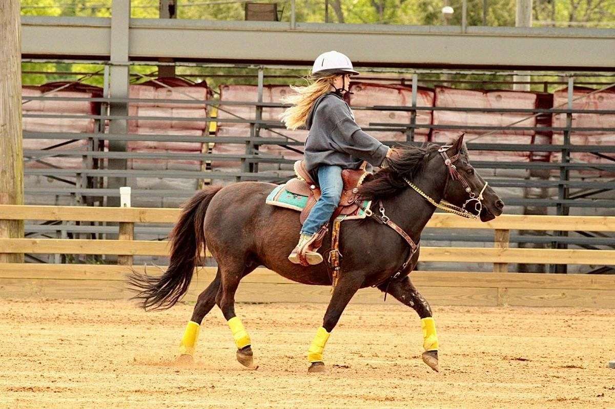 Heart of Gold Pony Alert