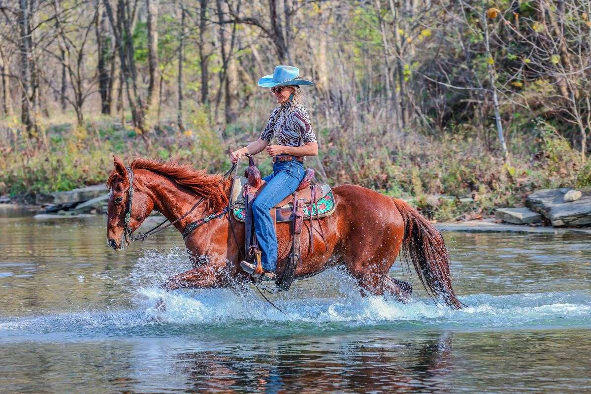 Really Broke, Ranch Horse Deluxe, Family Friendly AQHA Sorrel Gelding