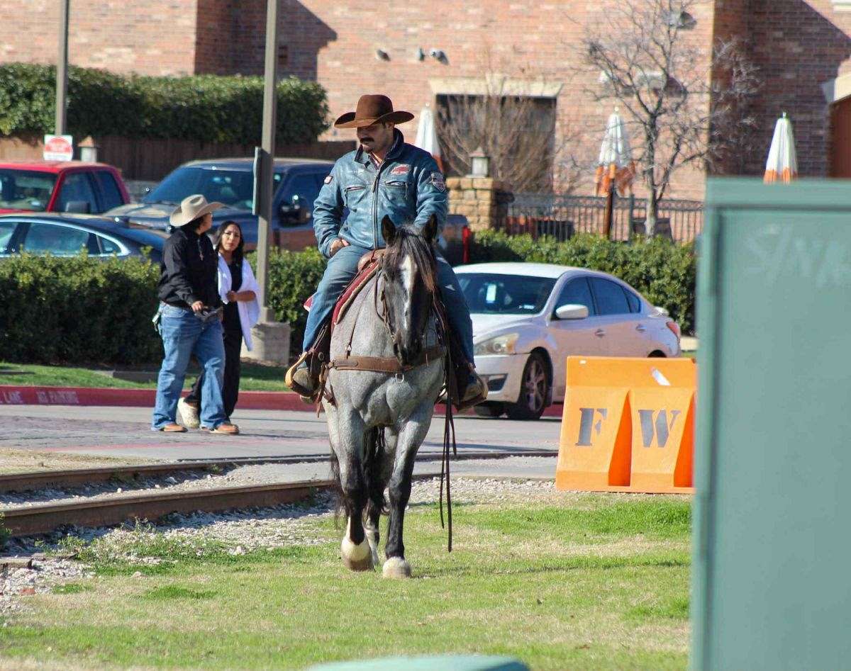 True Blue Roan, Family Safe, Ranch, Rope, Trail Horse, Online Auction!