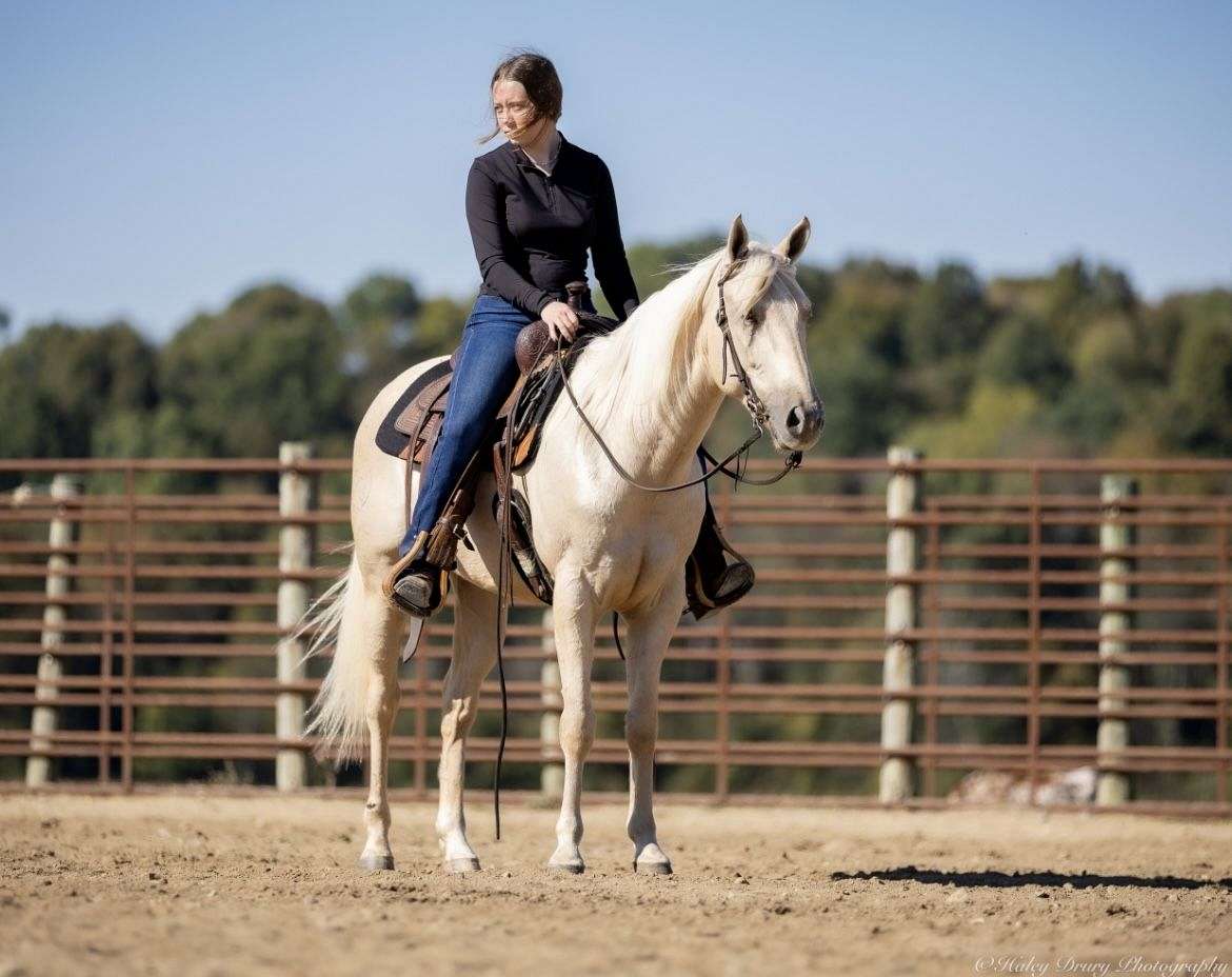 Milo - Dependable All-Around Horse 7 Yr Old Palomino QH Gelding!