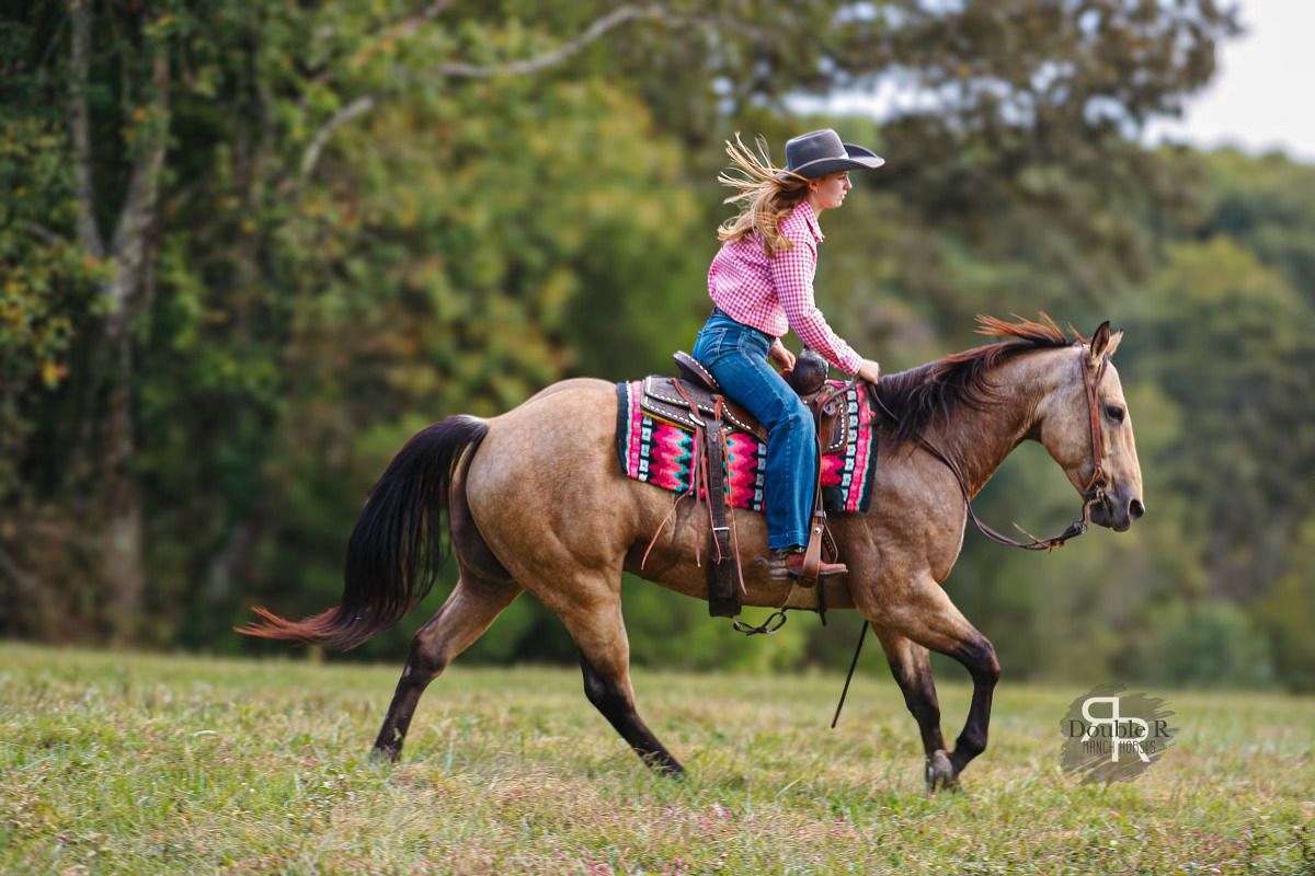 Laredo - Absolutely Gorgeous Ranch & Rope Horse 5 yo Buckskin AQHA Gelding!