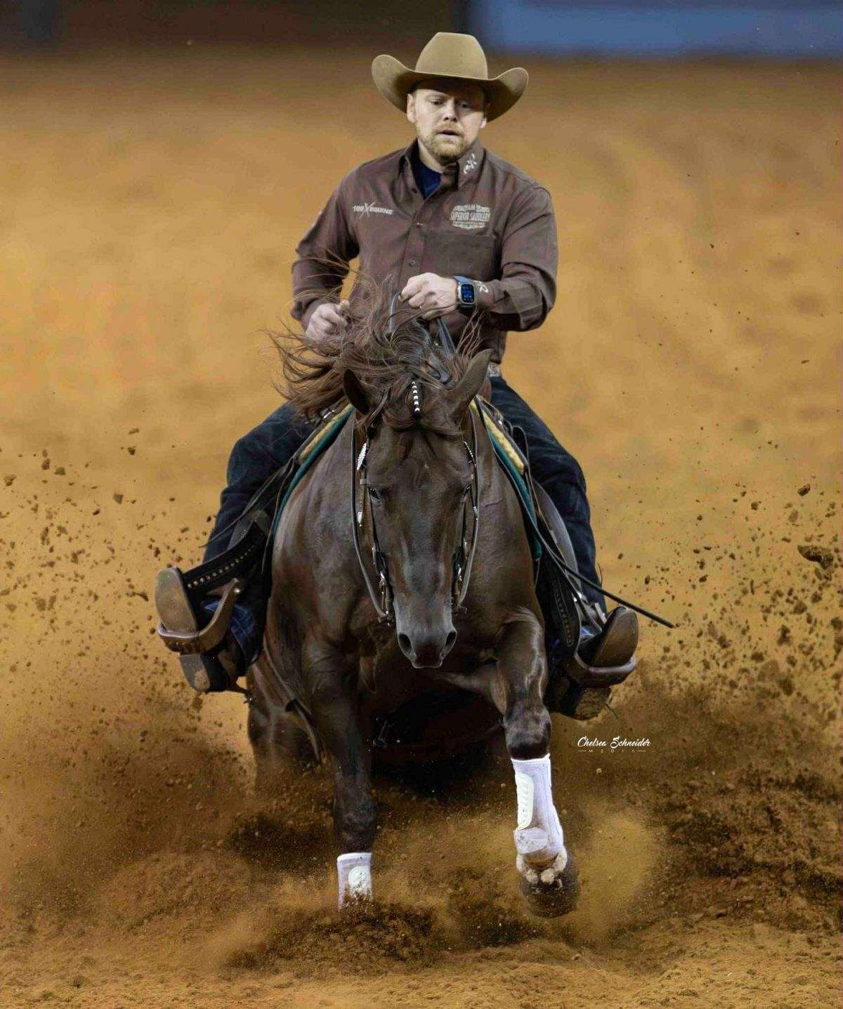 Good Lil Spook - Classy Ranch & Reining Horse 5 yo Chestnut AQHA Stallion!