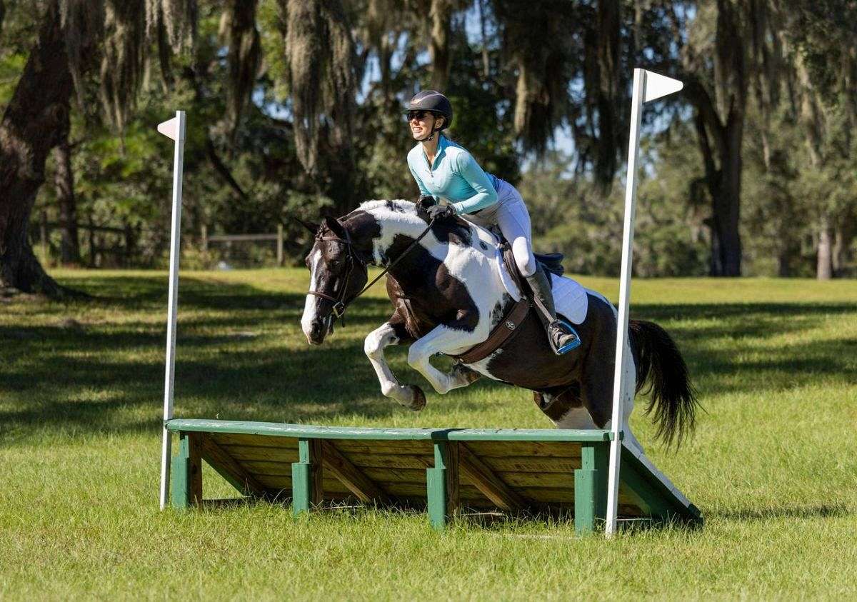 Chip - Extremely Elegant & Kind 4 Yr Old Paint Draft Cross Gelding!