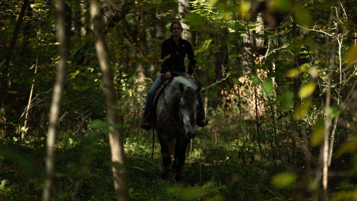 Moose