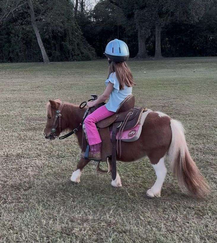 Independently Rideable Mini